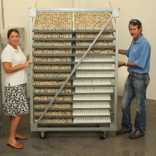 Manchester Farms Image Gallery