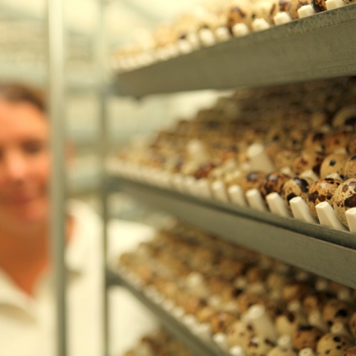 Manchester Farms Image Gallery