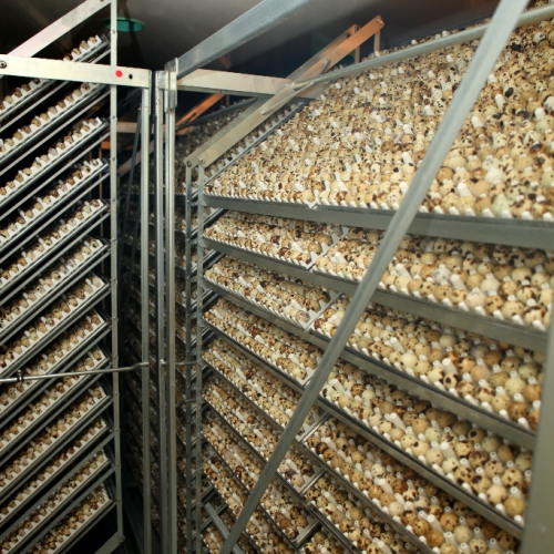 Manchester Farms Image Gallery