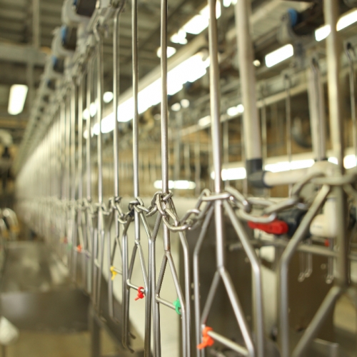 Manchester Farms Image Gallery