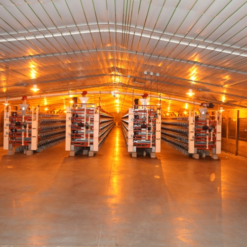 Manchester Farms Image Gallery