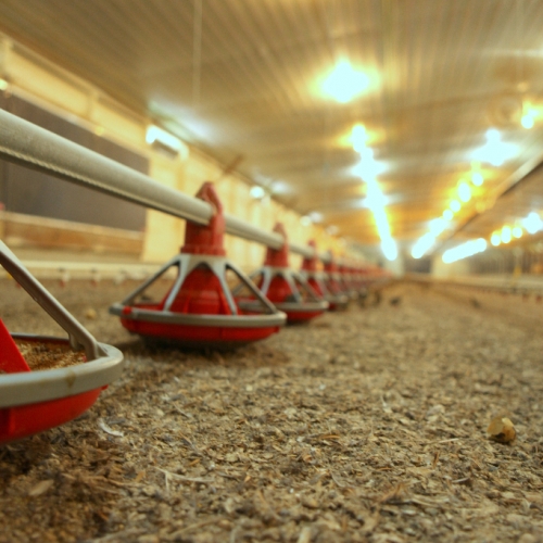 Manchester Farms Image Gallery