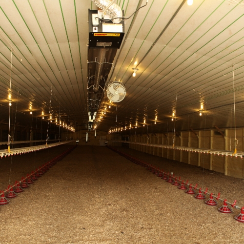 Manchester Farms Image Gallery