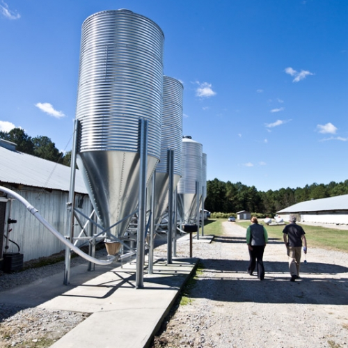 Manchester Farms Image Gallery